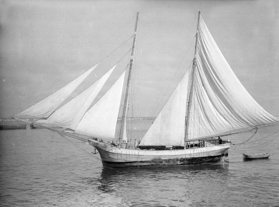 'Native caique (from Northern Mediterranean)', North Africa, 1943 ...