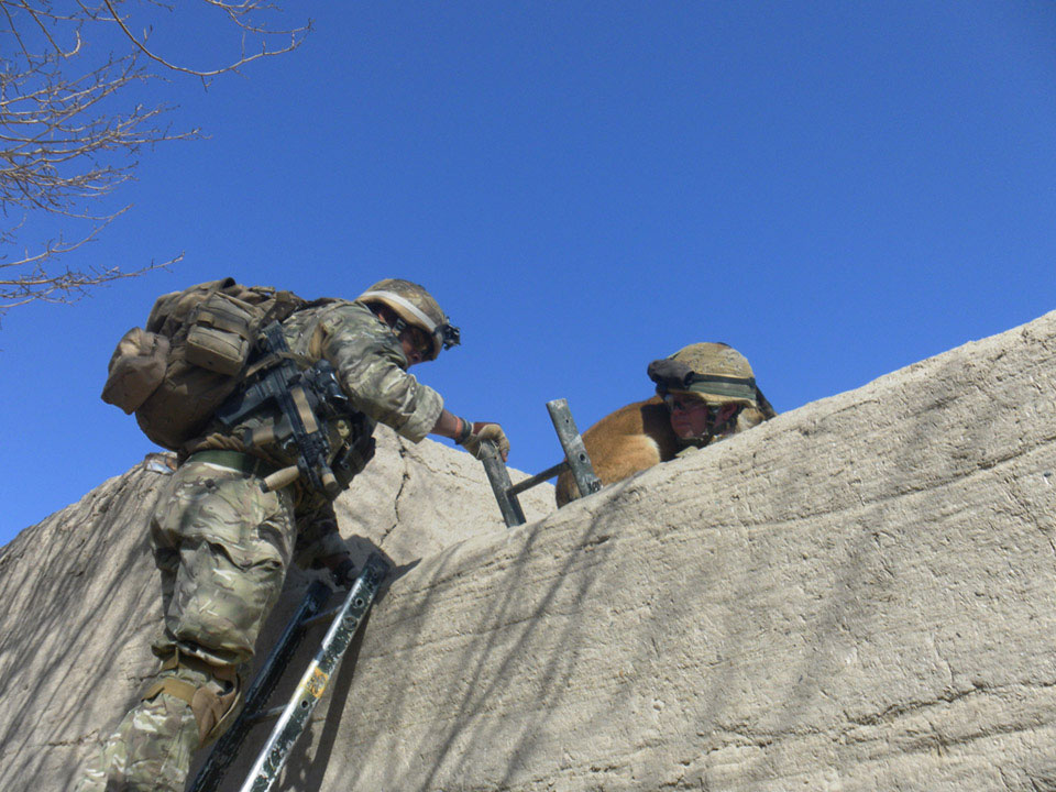 Compound search, Helmand province, Afghanistan, 2011 | Online ...