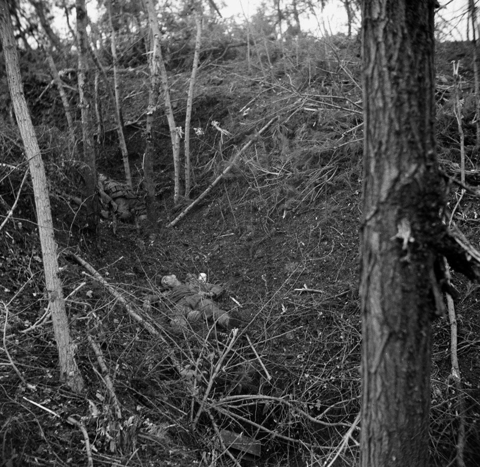 German soldiers killed in the fighting around Mozzagrogna, Italy, 1943 ...