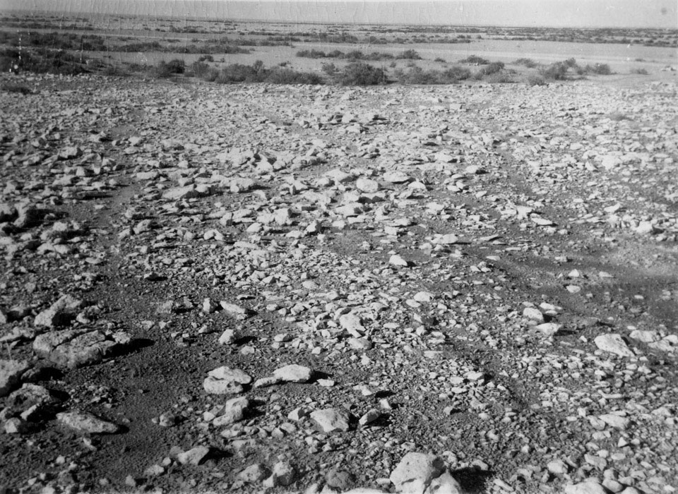 'Types of desert. Loose stone & rock. On the run to Jeddabia', Libya ...
