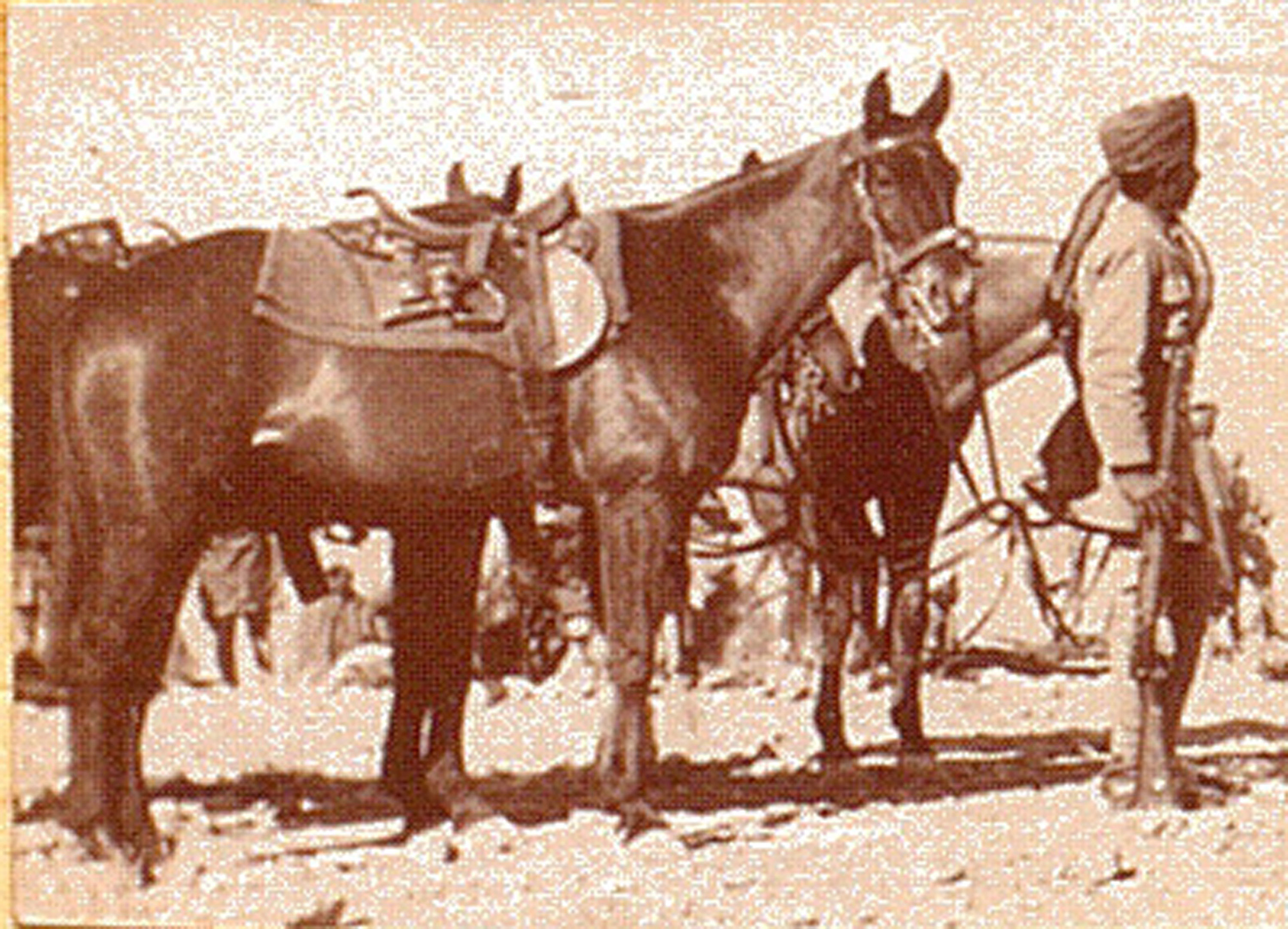 A sowar of the 28th Light Cavalry in Persia, 1918 (c) | Online ...