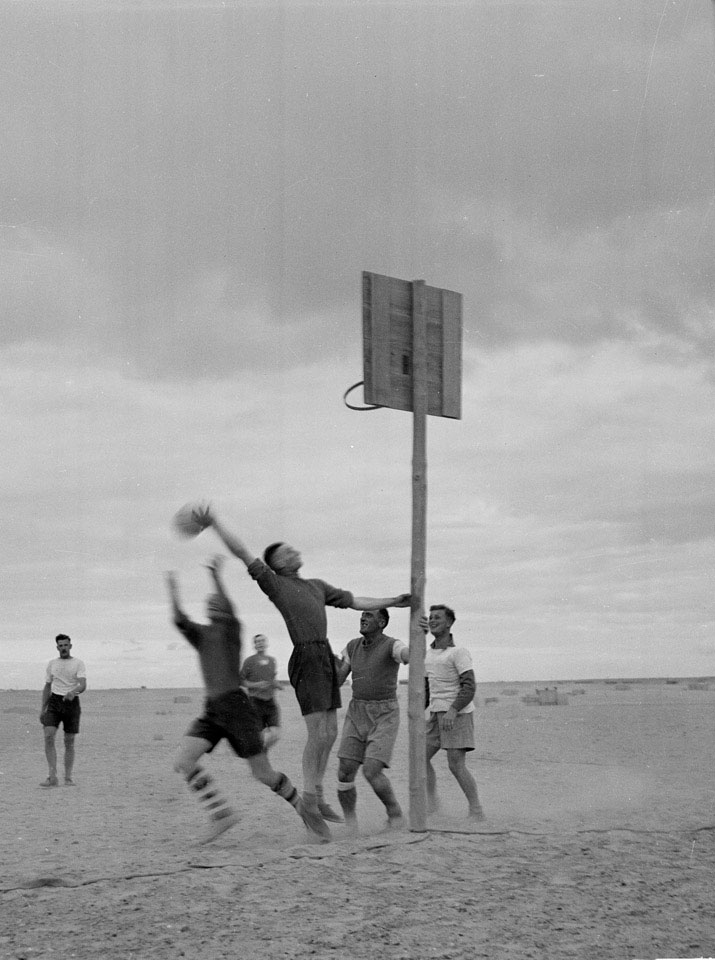 Basketball in the desert, 'C' Squadron, 3rd County of London Yeomanry ...