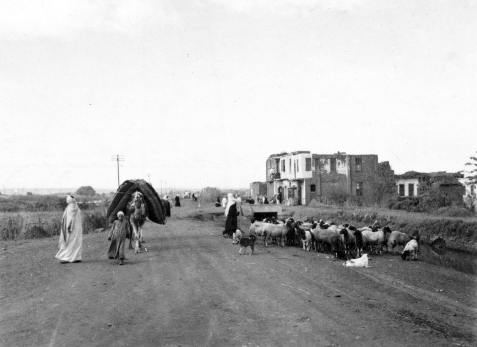 Khatatba-Cairo Road, 1942 | Online Collection | National Army Museum ...