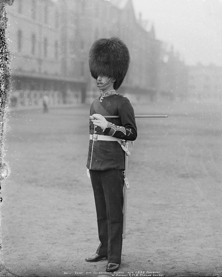 Drill Sergeant, Coldstream Guards, glass negative, 1895 (c) | Online ...