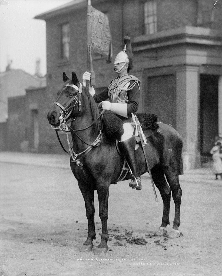 Corporal Major and Standard, Royal Horse Guards, glass negative, 1895 ...