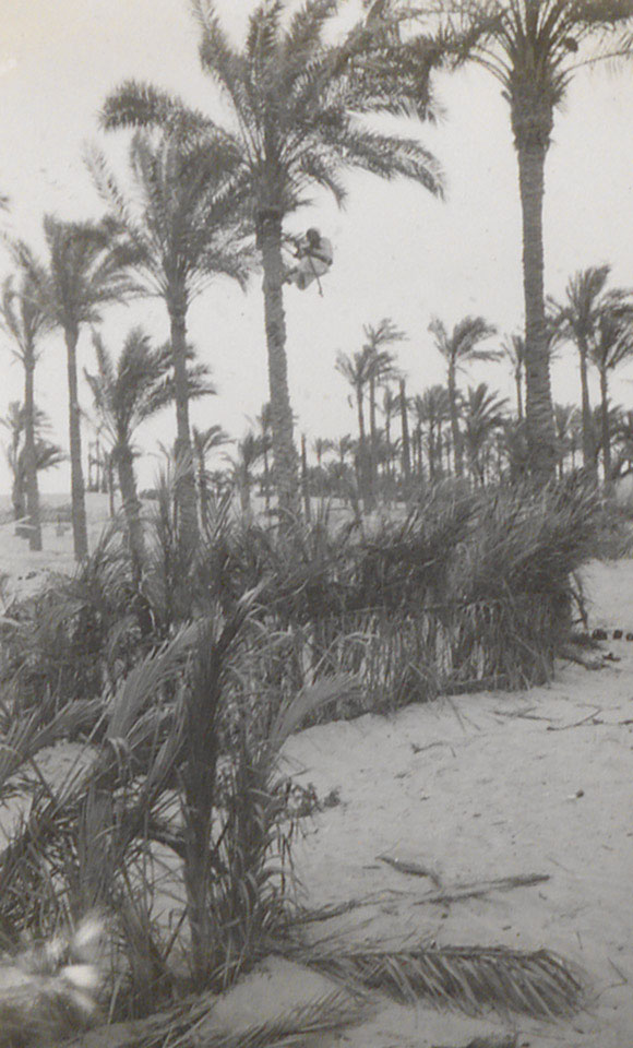 'Somewhere near camp', Sidi Bishr, Egypt, 1936 | Online Collection ...
