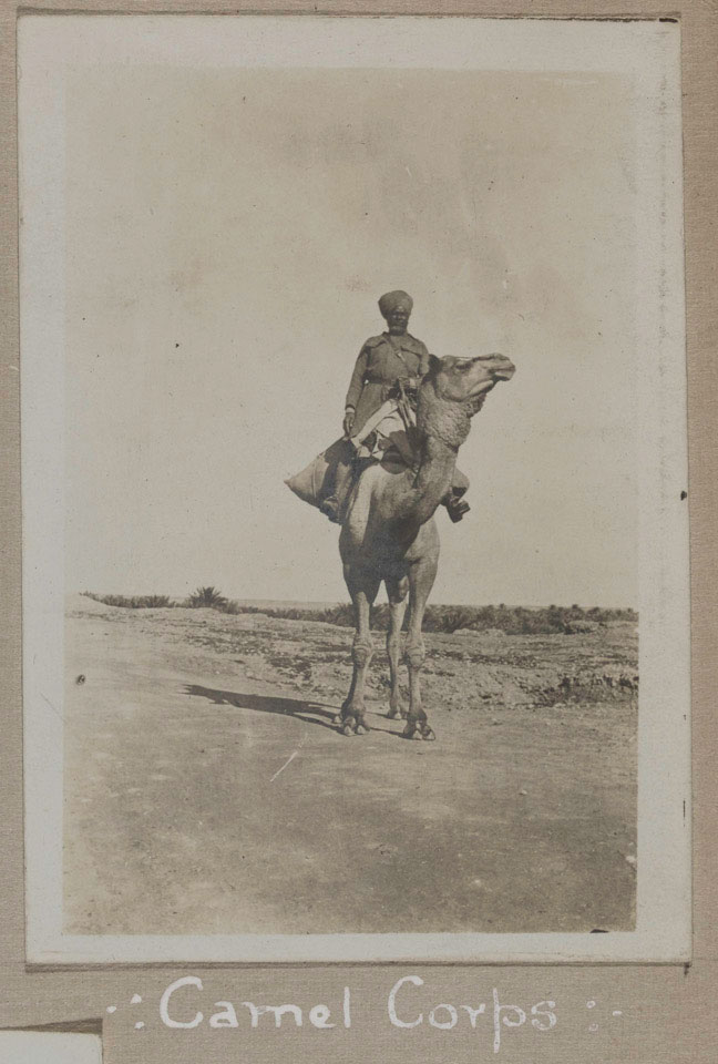 'Camel Corps', Mesopotamia, 1918 (c) | Online Collection | National ...