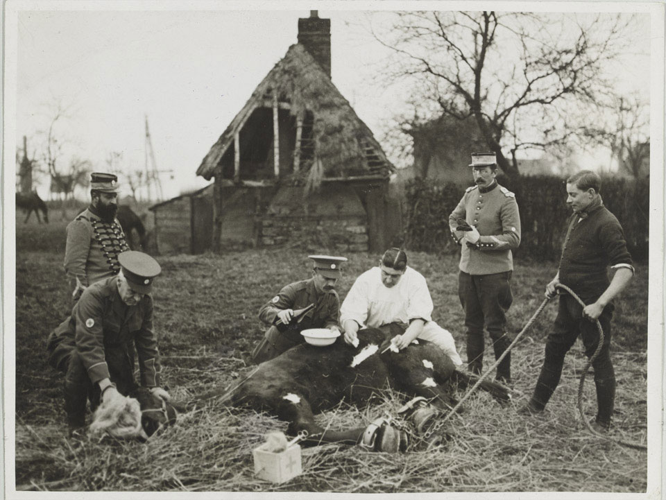 The Blue Cross Service in France, 1916 (c) | Online Collection ...