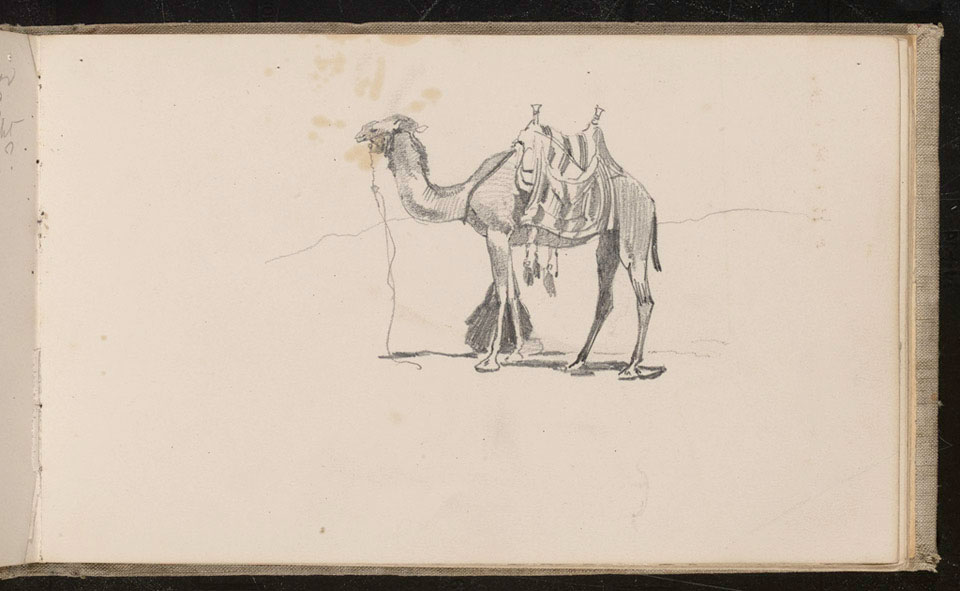Study of a camel, 1893 | Online Collection | National Army Museum, London