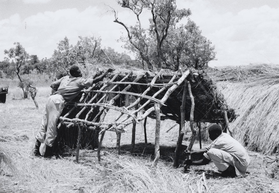 Basha-building in the bush, 4th (Uganda) Battalion, King's African ...
