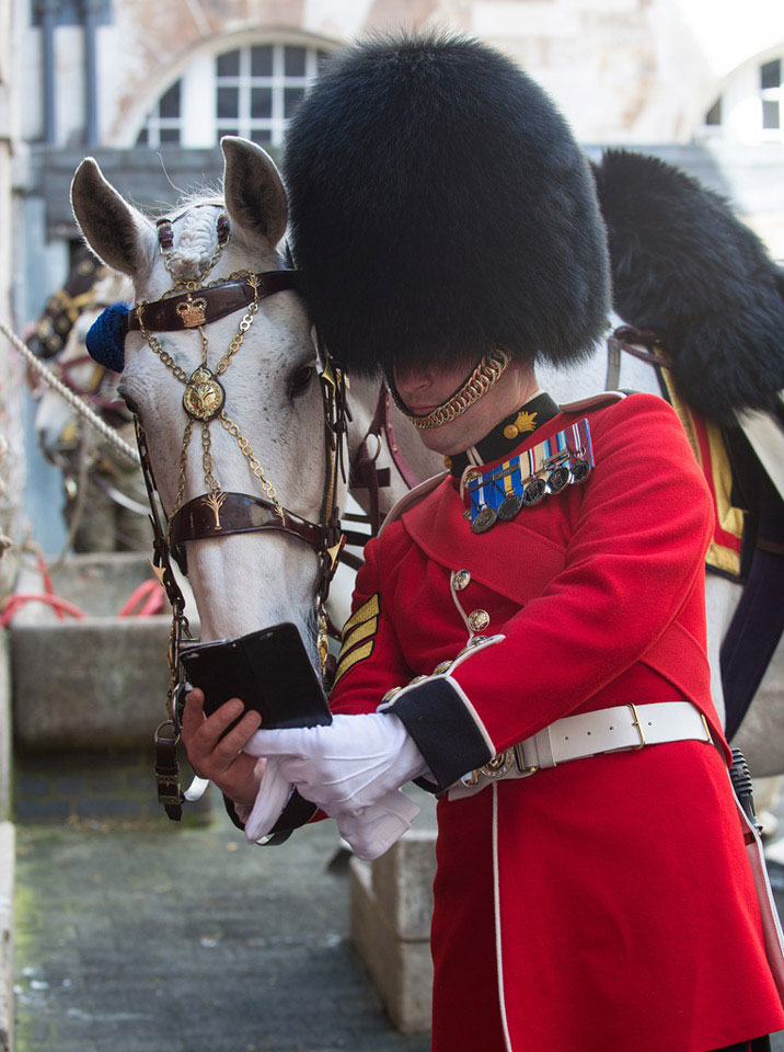 Colonel's Review, Horse Guards, London, 6 June 2015 | Online Collection ...