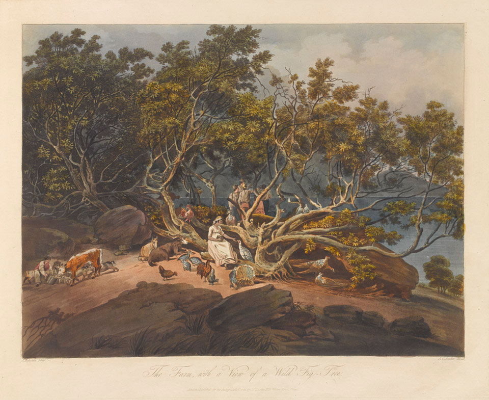 'The Farm, with a View of the Wild Fig-Tree', 1803 | Online Collection ...