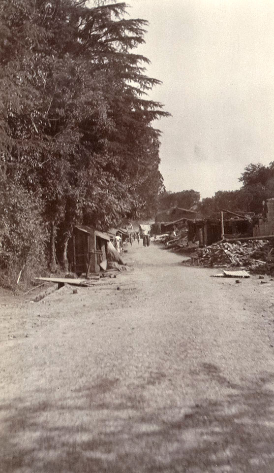 'Ruins of Palampur Bazaar. June 1905', Kangra Earthquake operation ...