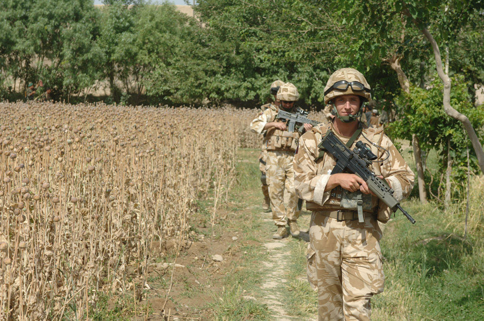British troops on patrol at the edge of a poppy field, Helmand Province ...