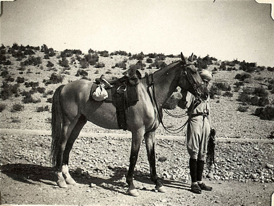 'My Charger', officer's horse, 13th Frontier Force Rifles, North West ...