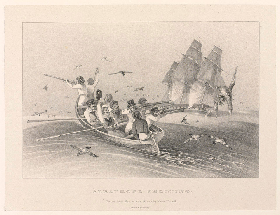 'Albatross Shooting', 1822. | Online Collection | National Army Museum ...