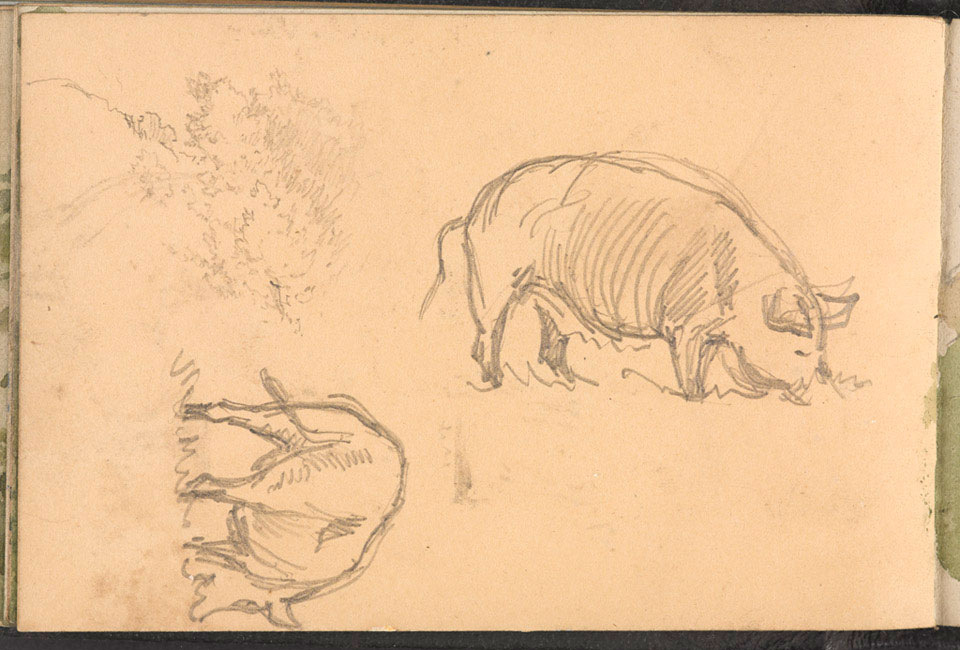 Studies of pigs foraging, no date | Online Collection | National Army ...