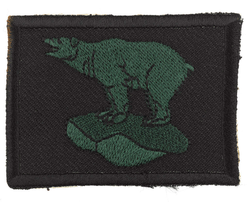 Tactical recognition flash (subdued), 49 Eastern Brigade, 2015 (c ...