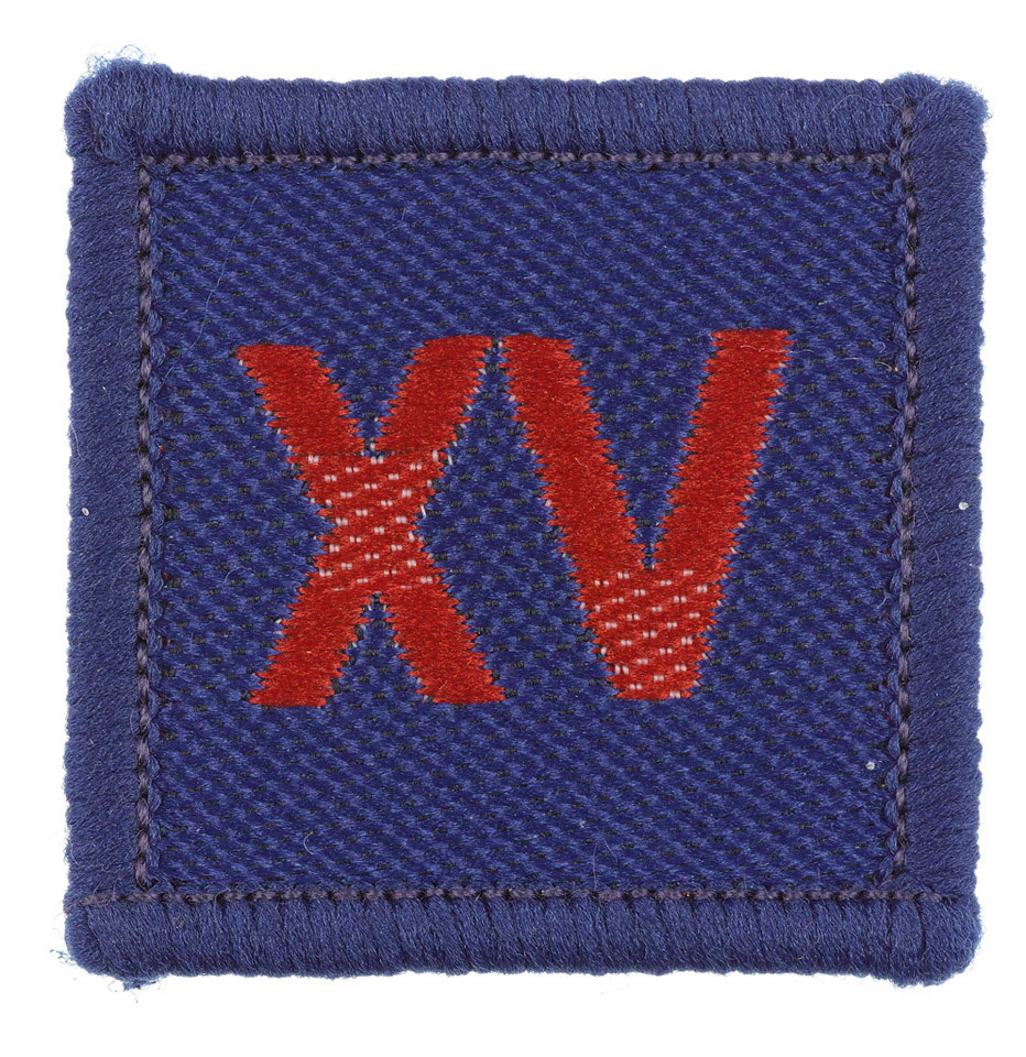 Tactical recognition flash, 15 Air Assault Close Support Squadron ...