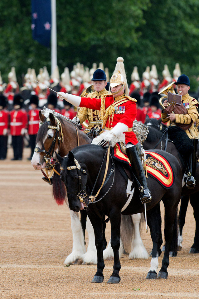 Trooping the Colour, Horse Guards, London, 2015 | Online Collection ...